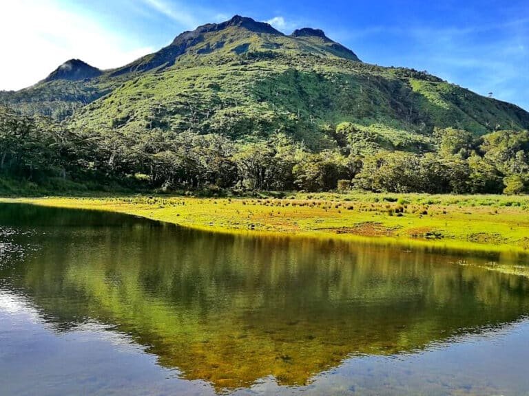 Mt. Apo Travel Guide 2025: How to Climb the Philippines’ Highest Peak